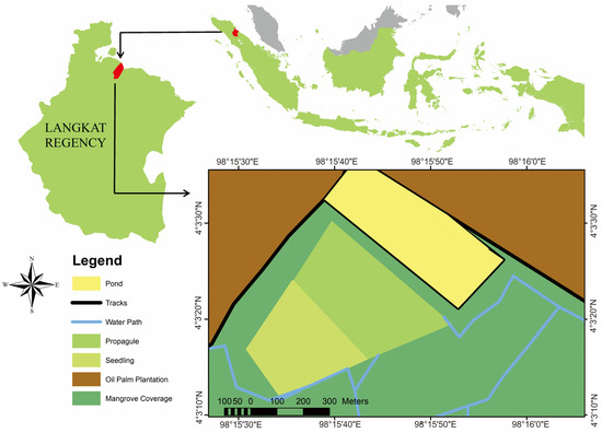 Evaluation of Plant Growth and Potential of Carbon Storage in the ...
