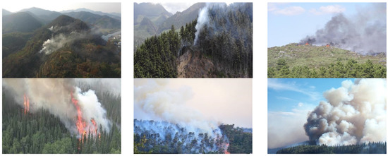 A Small-Target Forest Fire Smoke Detection Model Based on Deformable ...