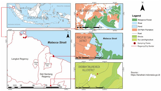 Potential of Phylloplane Fungi from Mangrove Plant (Rhizophora ...