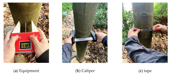 Development of Measuring Device for Diameter at Breast Height of Trees