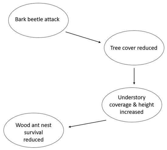 Bark Beetle Attacks Reduce Survival of Wood Ant Nests