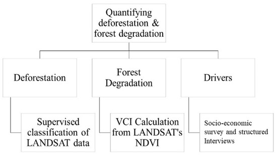 Quantitative Assessment of Deforestation and Forest Degradation in ...