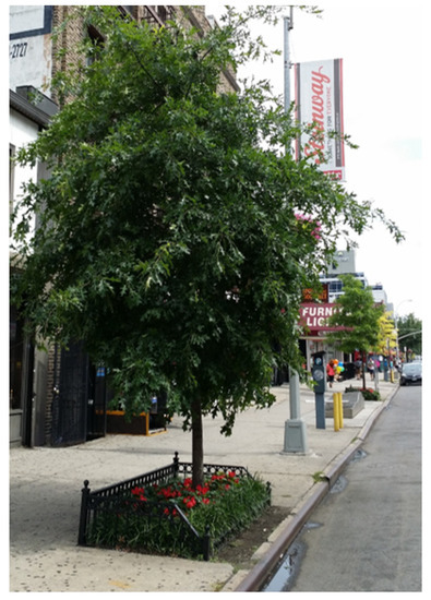 Estimating Stormwater Infiltration and Canopy Interception for Street ...