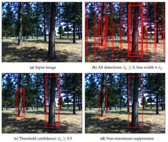 Real Time Computer Vision For Tree Stem Detection And Tracking