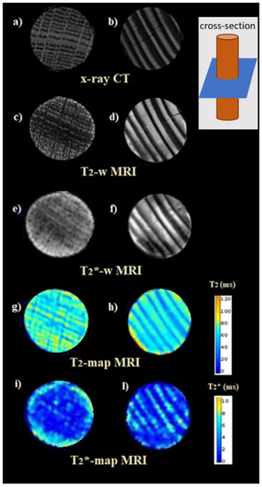 A Multi-Parametric Investigation on Waterlogged Wood Using a Magnetic ...