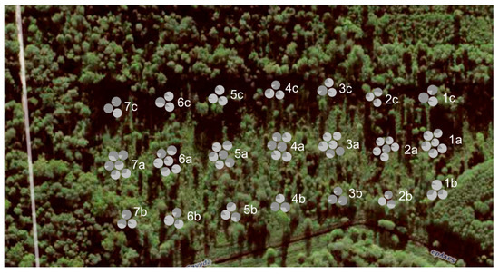 Genetic Diversity of Five Broadleaved Tree Species and Its Spatial ...