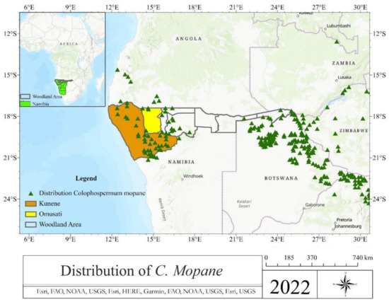 Socio-Economic Benefits of Colophospermum mopane in a Changing Climate ...