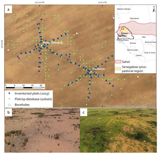 A Functional Trait Based Approach To Evaluate The Resilience Of Key Ecosystem Functions Of