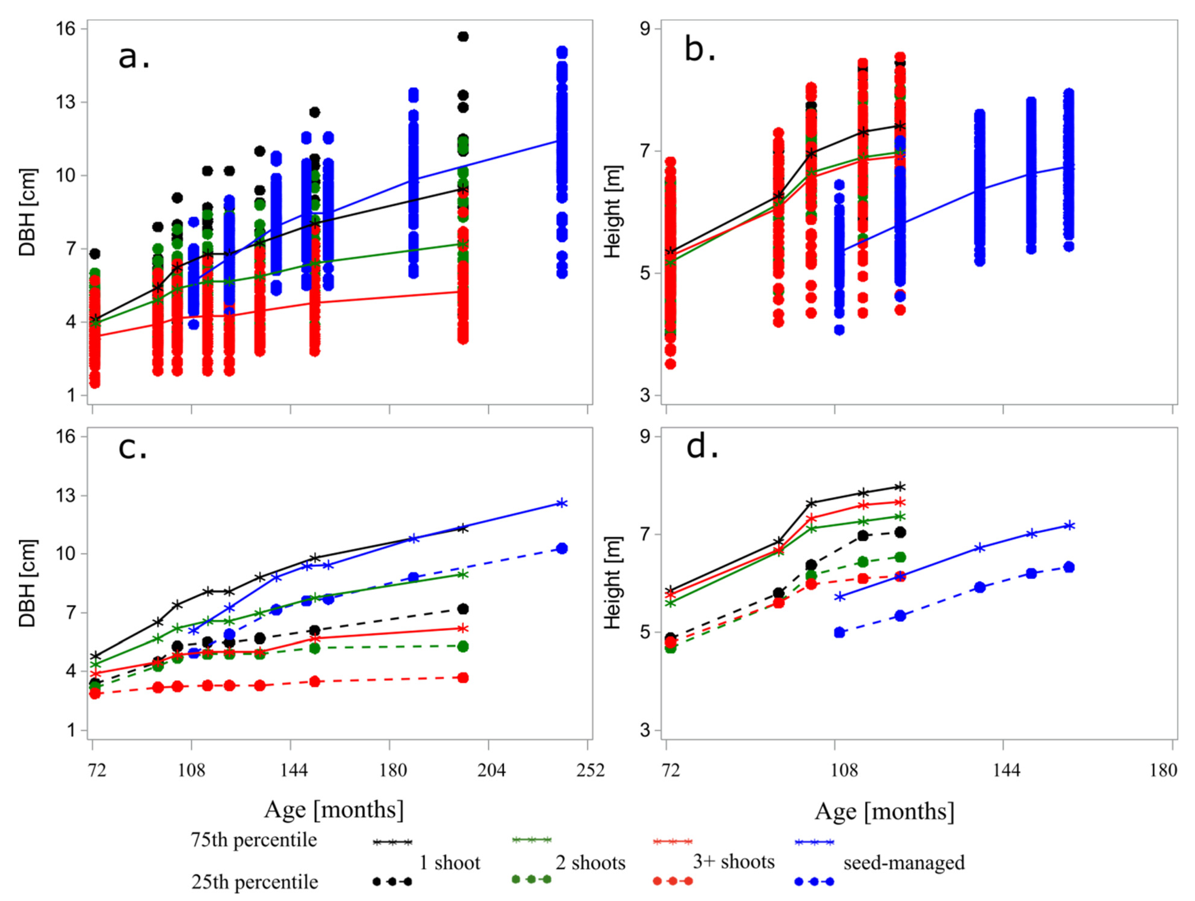Coppice Management for Young Sycamore Maple (Acer pseudoplatanus L.)