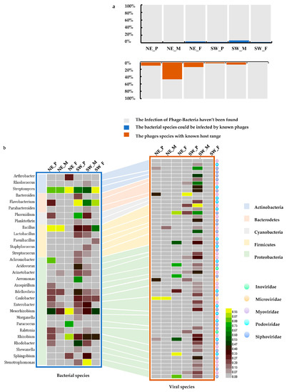 Diversity and Potential Interactions of Soil Viruses and Host Bacteria ...