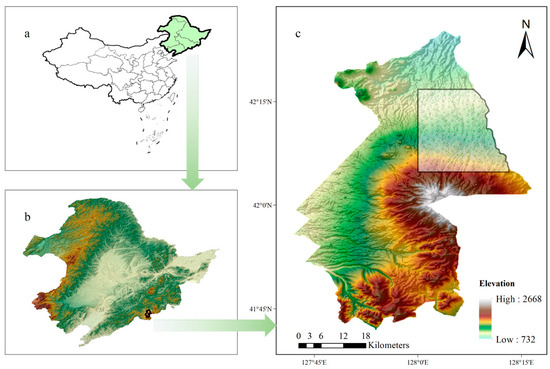 Disturbance of Wind Damage and Insect Outbreaks in the Old-Growth Forest of Changbai Mountain ...