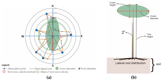 Inferring Vertical Tree Growth Direction of Samanea saman and Delonix ...