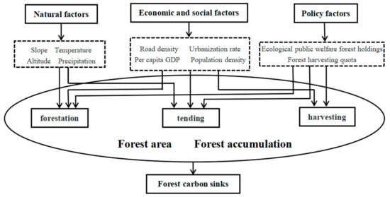 Spatio-Temporal Pattern, Evolution and Influencing Factors of Forest ...