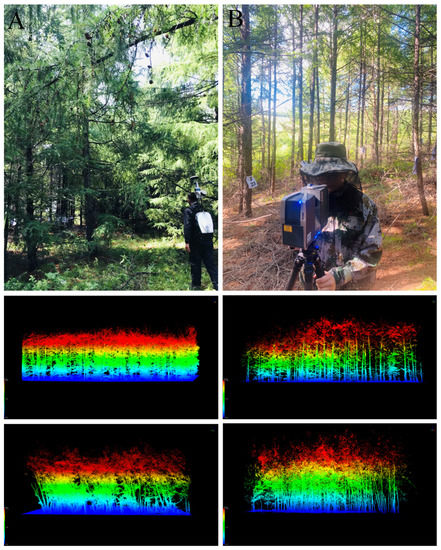 Estimation of Aboveground Biomass of Individual Trees by Backpack LiDAR ...