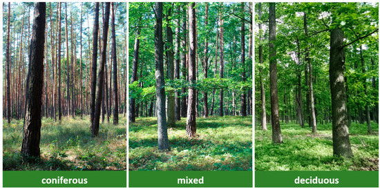 Comparison of the Foraging Activity of Bats in Coniferous, Mixed, and ...