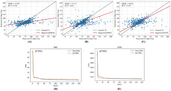Simulation of Spatial and Temporal Distribution of Forest Carbon Stocks ...