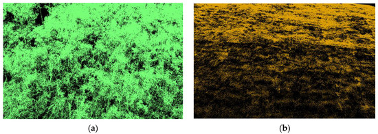 Classification of Individual Tree Species Using UAV LiDAR Based on ...