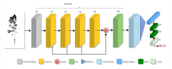Classification of Individual Tree Species Using UAV LiDAR Based on ...