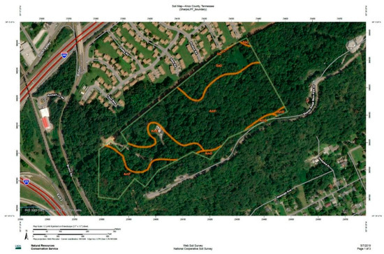 Forests | Free Full-Text | Ecological and Soil Data Applied to ...