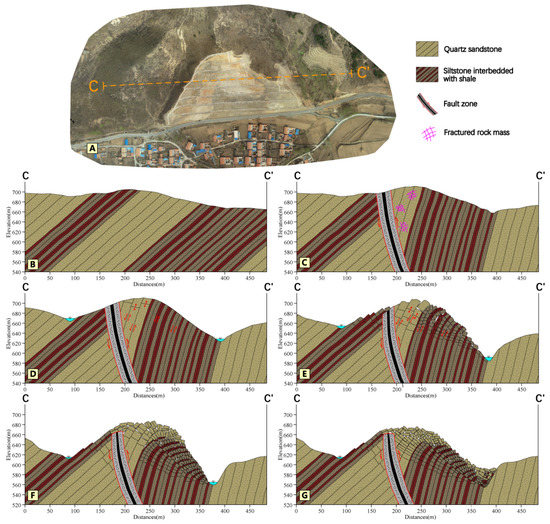 Gravitational Deformation and Reactivation Mechanism of a Fault-Bounded ...