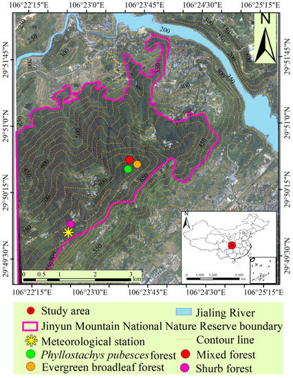 The Hydrological and Mechanical Effects of Forests on Hillslope Soil ...