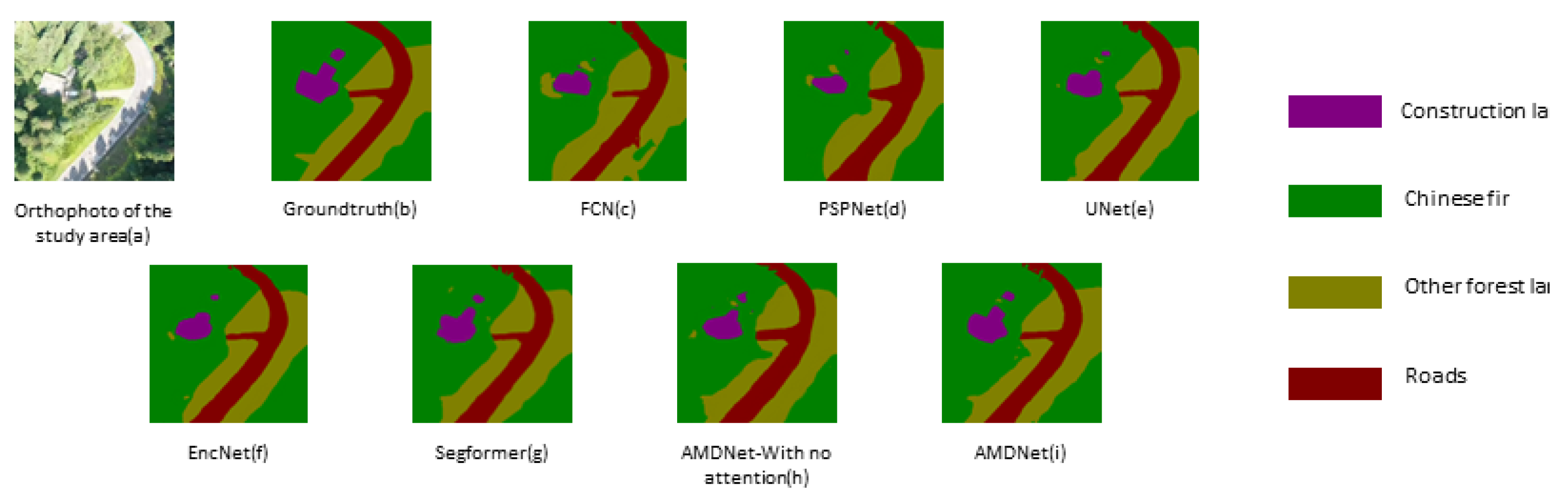 Forests | Free Full-Text | AMDNet: A Modern UAV RGB Remote-Sensing Tree ...