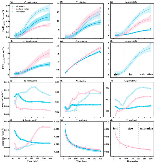 Effects of Leaf Hydrophilicity and Stomatal Regulation on Foliar Water ...