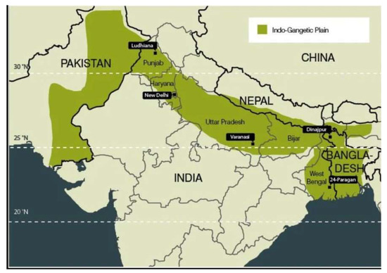 Carbon Sequestration Potential of Commercial Agroforestry Systems in ...