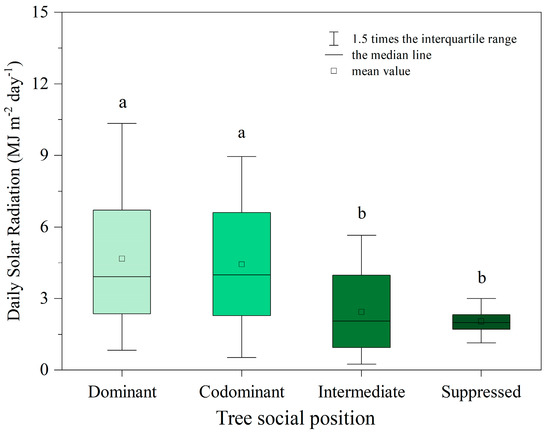 Effects of Topography and Social Position on the Solar Radiation of ...