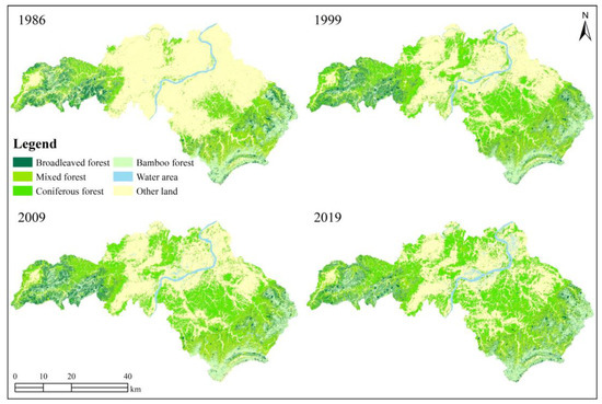 Changes in Forest Vegetation Carbon Storage and Its Driving Forces in ...