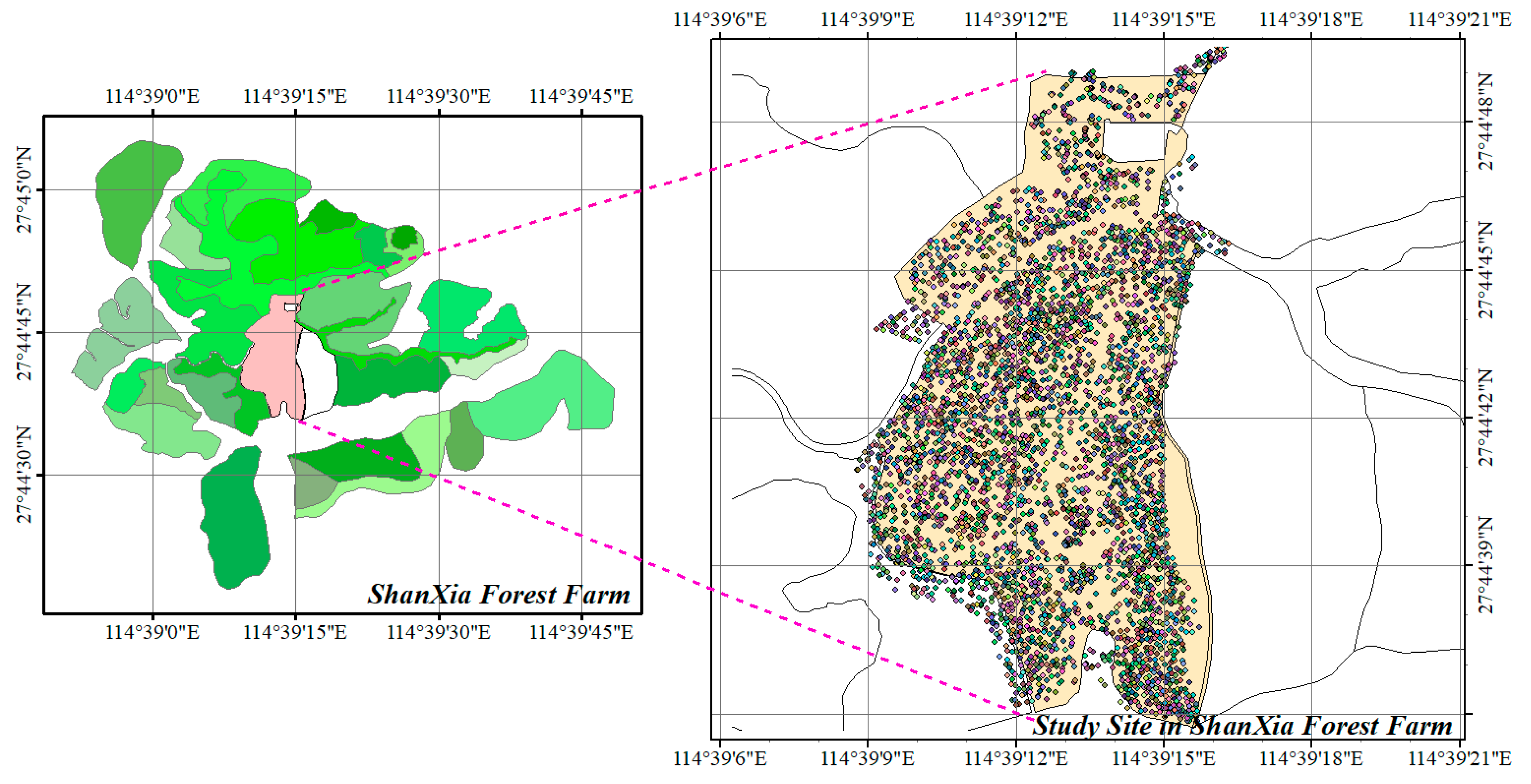 A Novel 3D Tree-Modeling Method of Incorporating Small-Scale Spatial ...