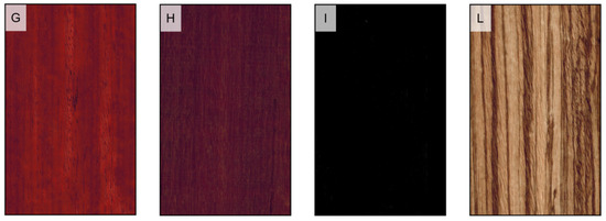 The Macroscopic Structure of Wood