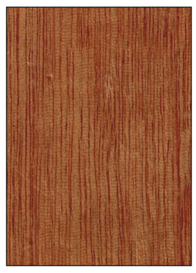 The Macroscopic Structure of Wood