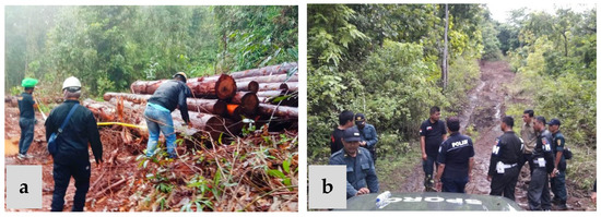 Forests | Free Full-Text | Monitoring Illegal Logging Using Google ...