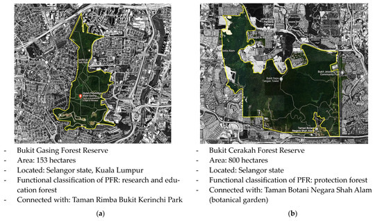 Determining the Weightage of Visual Aesthetic Variables for Permanent ...