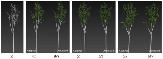 Framework of Virtual Plantation Forest Modeling and Data Analysis for ...