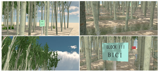Framework of Virtual Plantation Forest Modeling and Data Analysis for ...