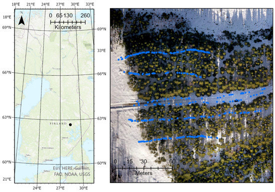 Unlocking Digitalization in Forest Operations with Viewshed Analysis to ...