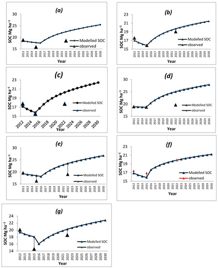 Simulating SOC Dynamics under Different Temperature Regimes and FYM Addition in Bamboo Species ...