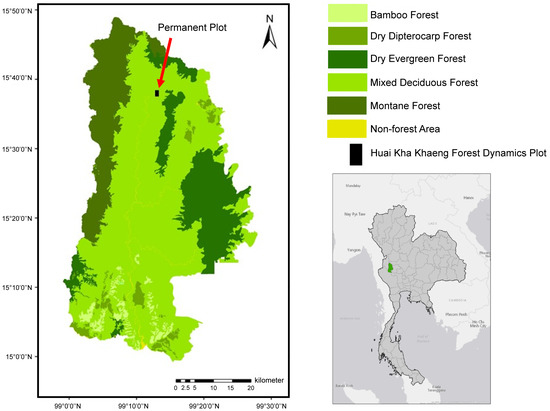 Allometric Models to Estimate the Biomass of Tree Seedlings from Dry ...