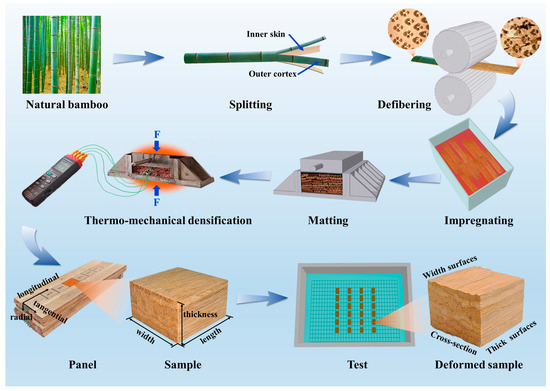 The Optimization of Thermo-Mechanical Densification to Improve the ...