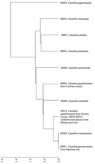Forests | Free Full-Text | Synonymous Codon Usage Bias in the ...