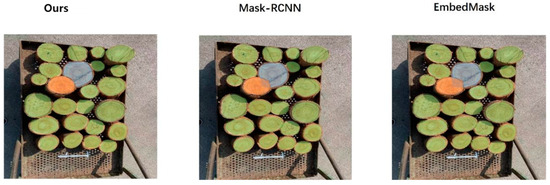 Forests Free Full Text A Fast Instance Segmentation Technique For Log End Faces Based On