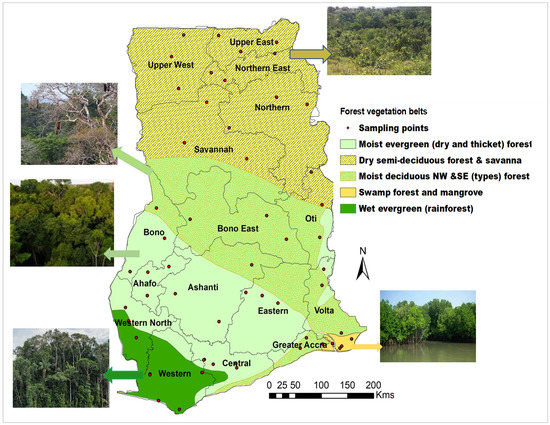 Forests | Free Full-Text | Forest Bioeconomy in Ghana: Understanding ...