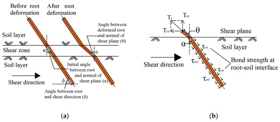 An Estimation Model of the Ultimate Shear Strength of Root-Permeated ...