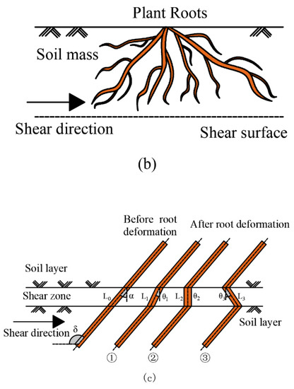An Estimation Model of the Ultimate Shear Strength of Root-Permeated ...
