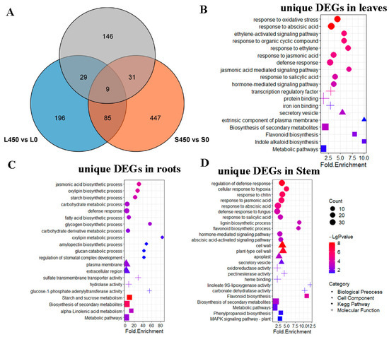Comparative RNA-Seq Analysis Reveals the Organ-Specific Transcriptomic ...
