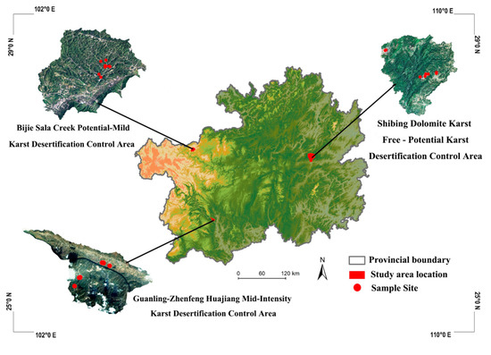 Agroforestry Ecosystem Structure and the Stability Improvement Strategy ...