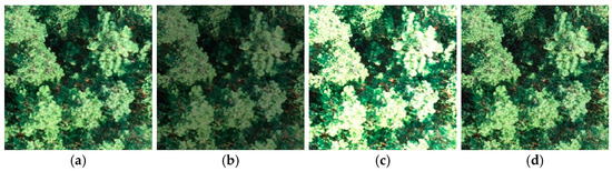 Tree Recognition and Crown Width Extraction Based on Novel Faster-RCNN ...