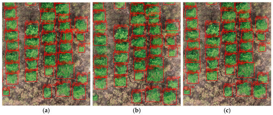 Tree Recognition and Crown Width Extraction Based on Novel Faster-RCNN ...